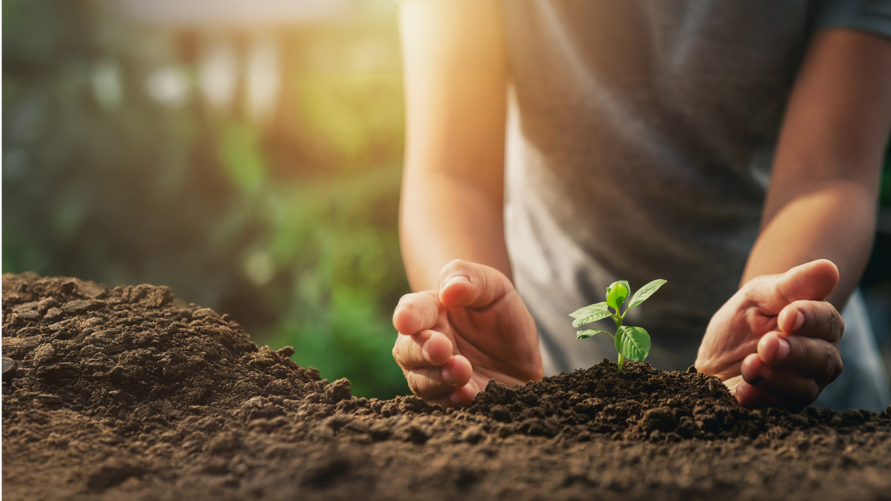 Safeguarding | USA Joshua Generation Church